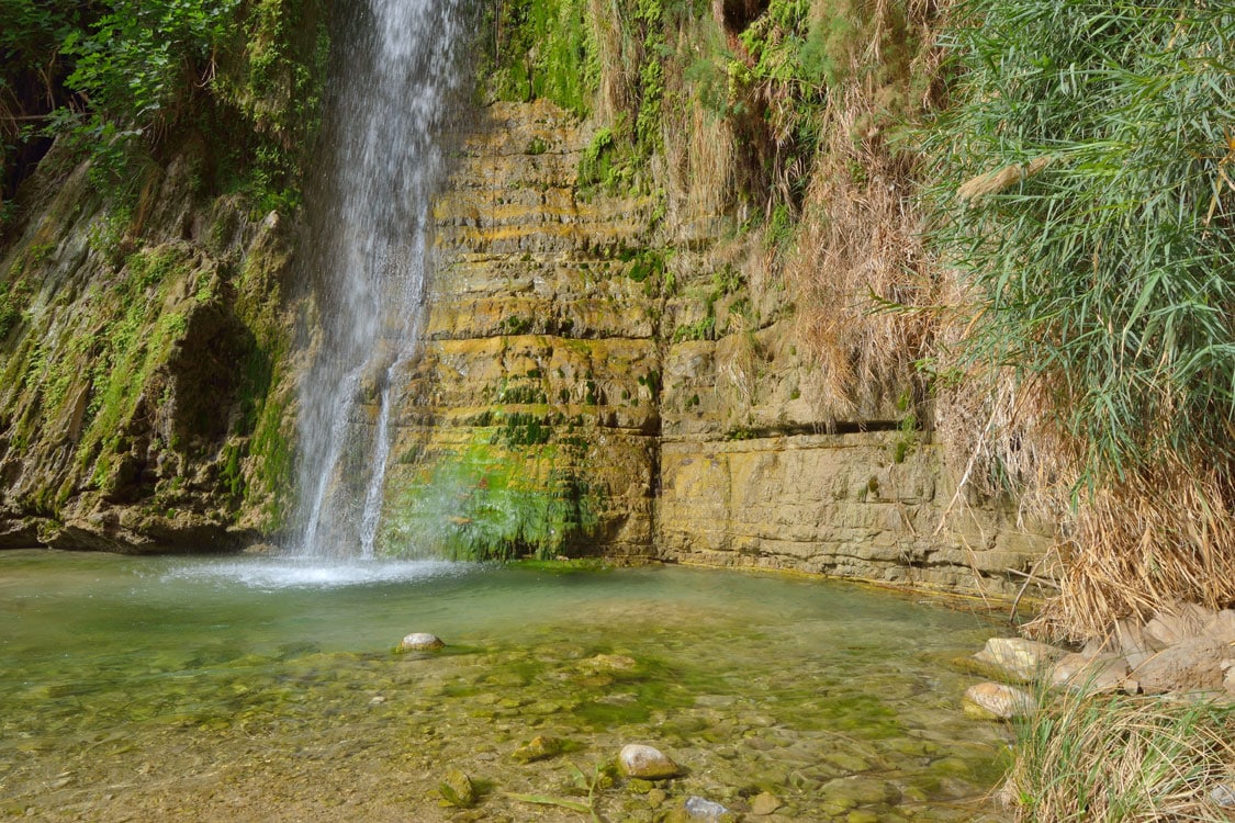 The Dead Sea - Global Advantage Tours, Inc.